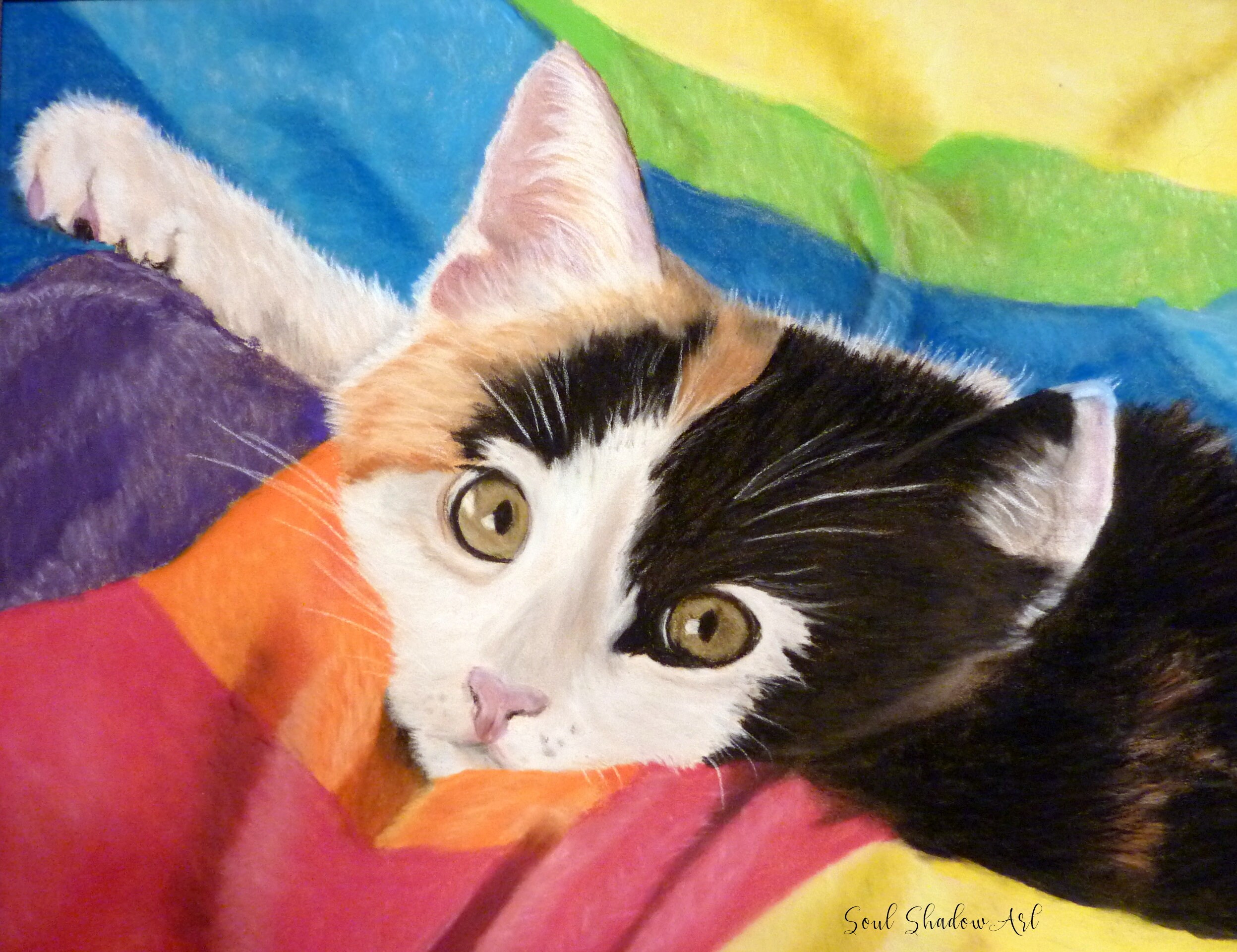Custom Hand Painted Cats in Pastels Maine Coons Tabby Cats - Etsy Israel
