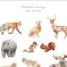 Wild Animals Art Print, Forest Animals Poster Made in Quebec Canada ...