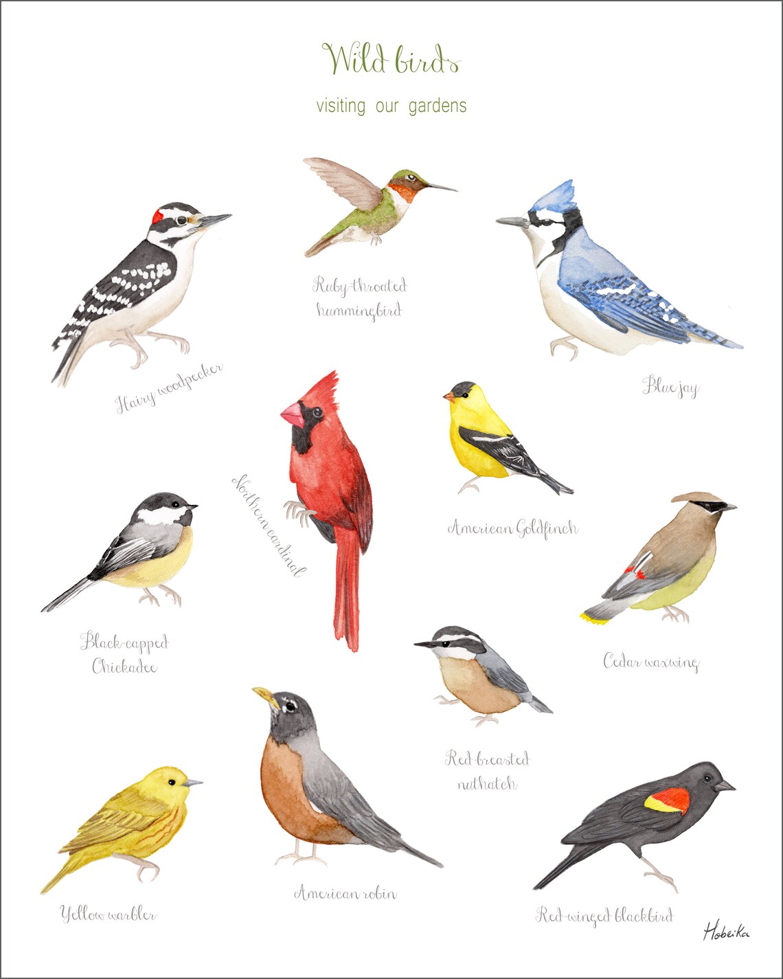 Wild Birds Art Print Garden Birds Poster Made in Quebec - Etsy