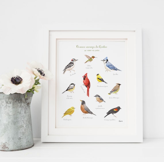 Wild Birds Art Print Garden Birds Poster Made in Quebec | Etsy