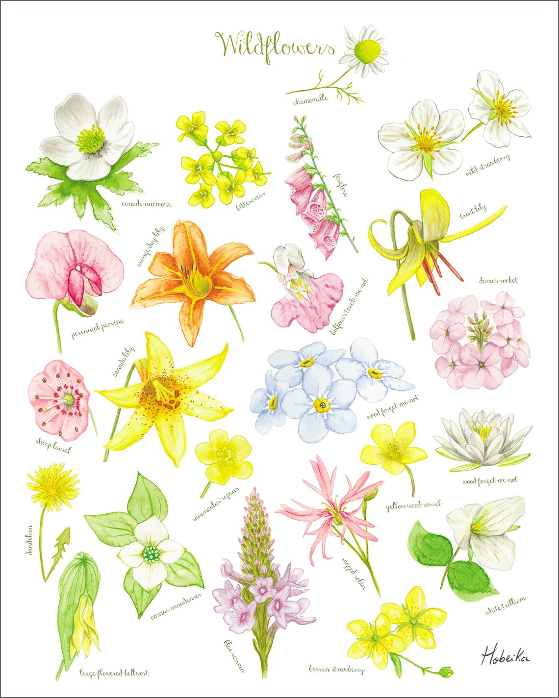 Quebec Wild Flowers Art Print / ABC Poster / Flowers Print / Spring Art ...