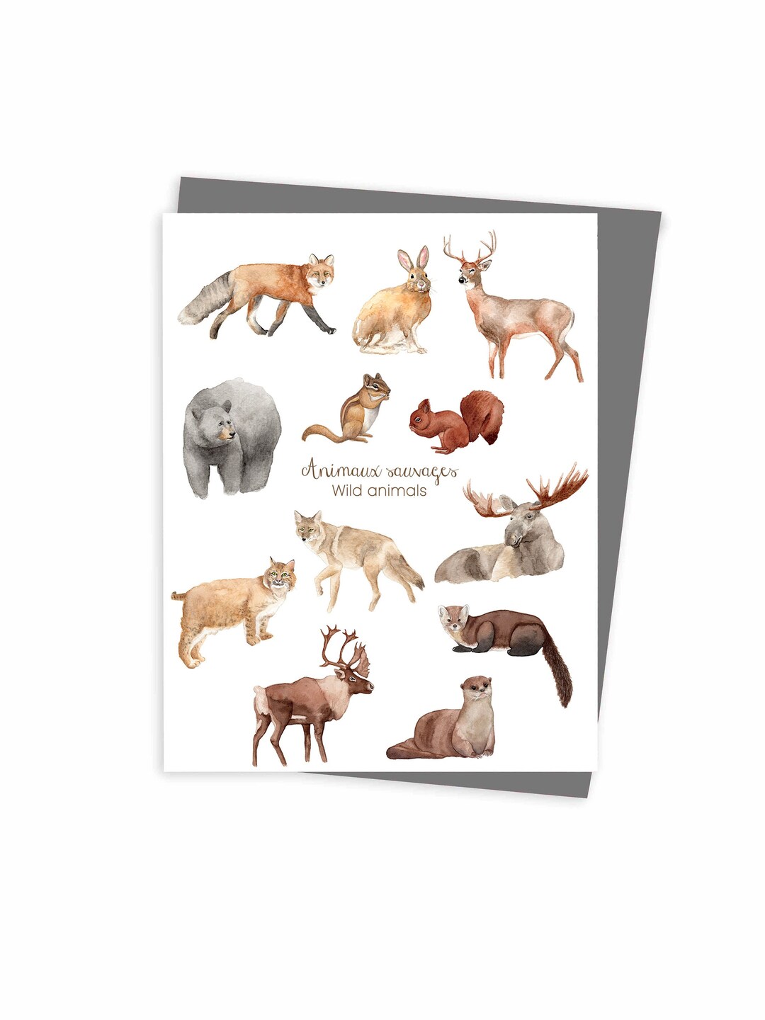 Wild Animals of the Forest Greeting Card Made in Montreal, Quebec ...