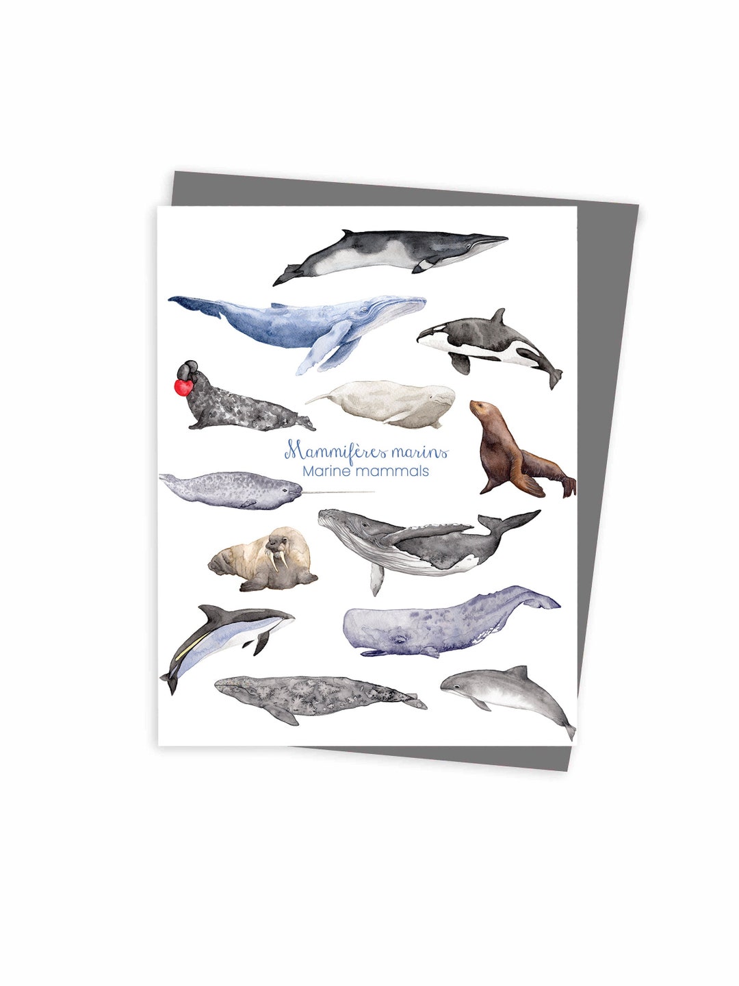 Water Créatures, Whales Greeting Card Made in Montreal, Quebec Canada ...