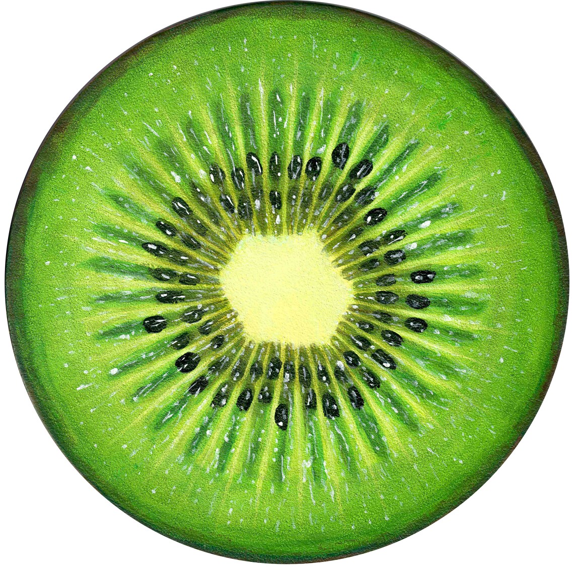 Kiwi Acrylic Painting Fine Art Print | Etsy