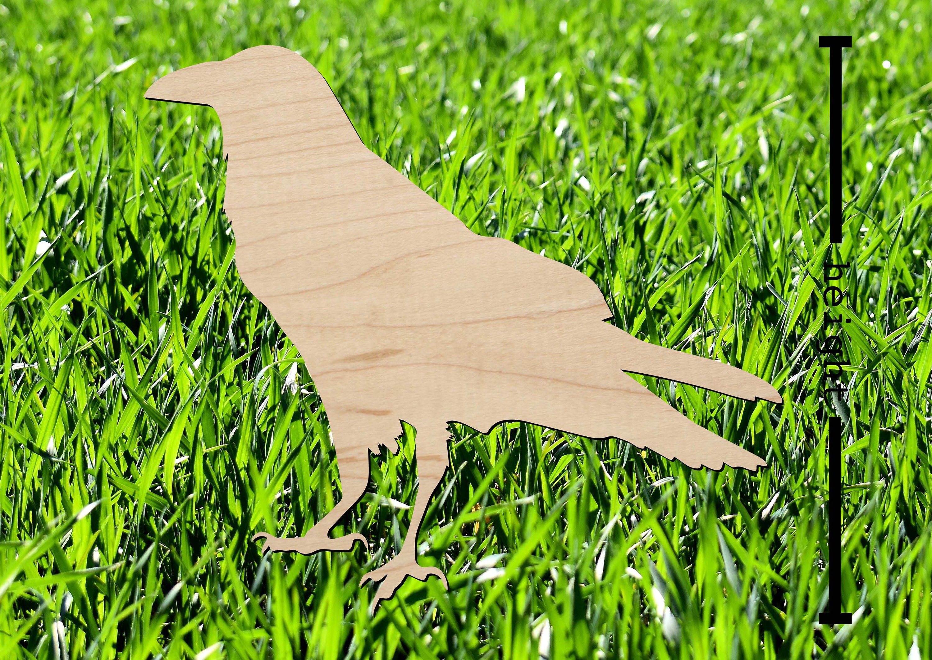 Crow Cut Out Animal Shape Laser Cut Bird from Wood - Etsy Nederland