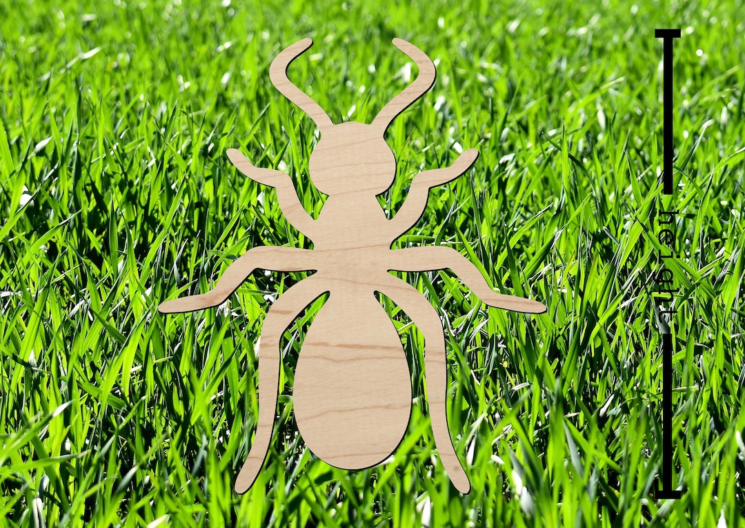 Ant Cut Out - Bug Shape - Laser Cut Insect From Wood - Etsy