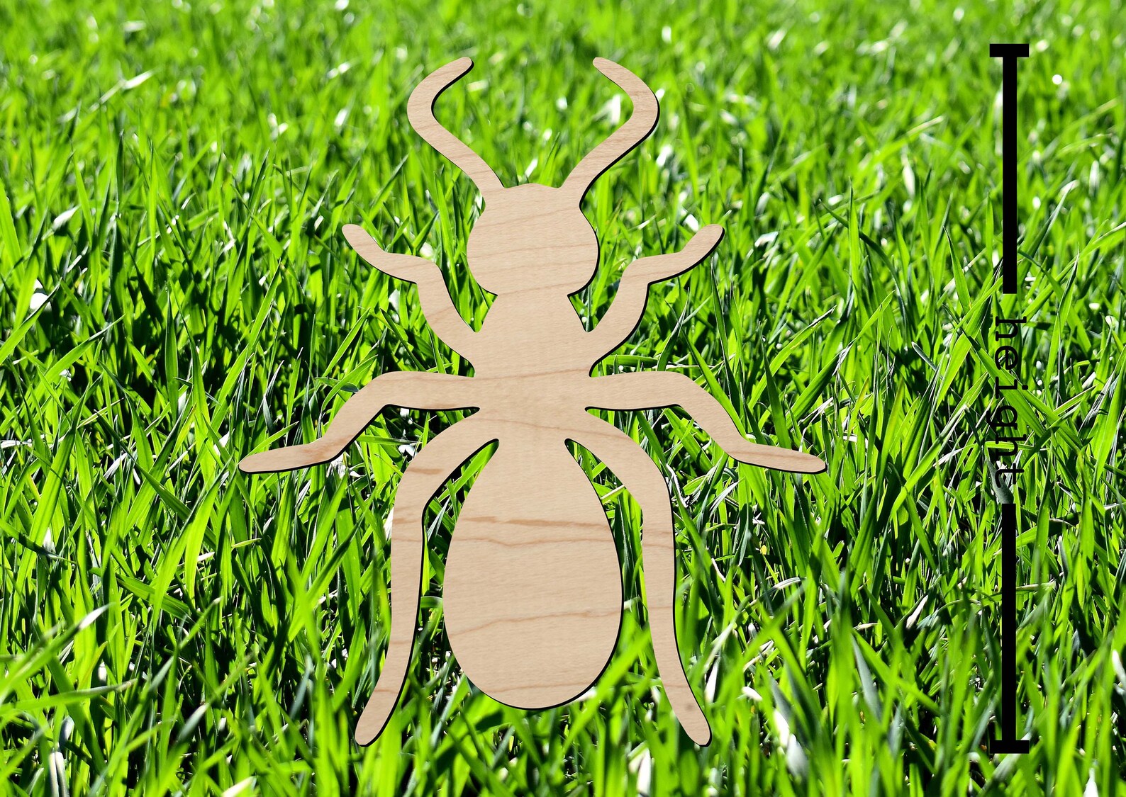 Ant Cut Out Bug Shape Laser Cut Insect From Wood - Etsy