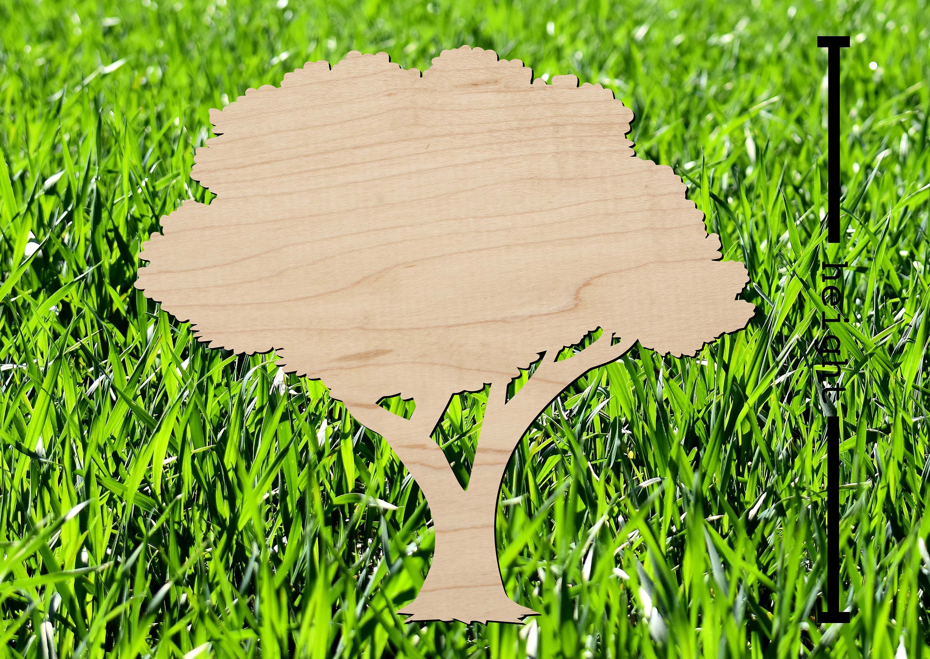 Laser Cut Oak Tree Canopies