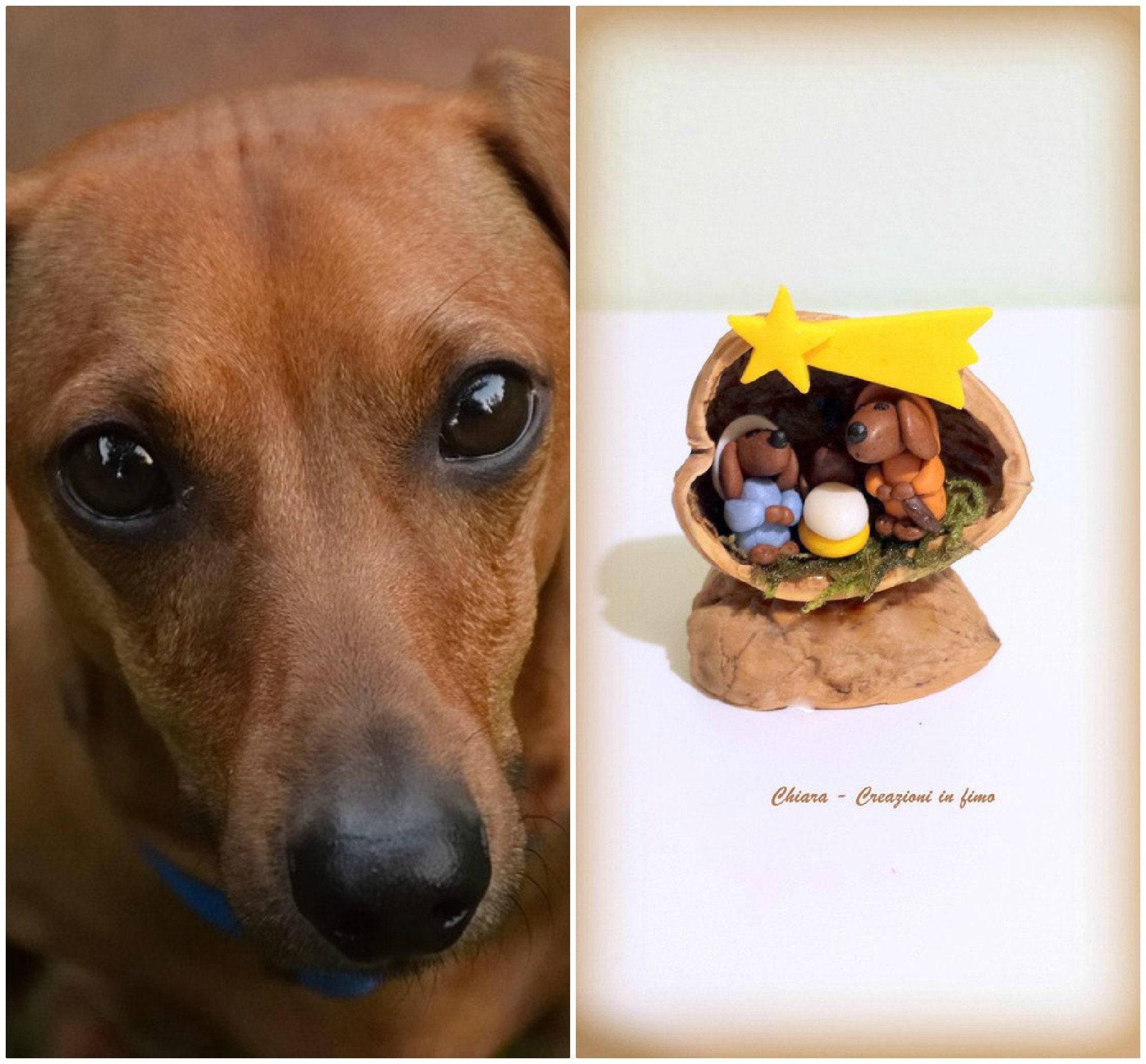 Dachshund dog nativity set in a walnut shell nativity scene | Etsy