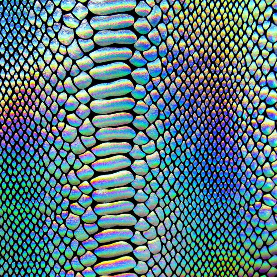 Holographic Ombre Snake Skin Print on Nylon Spandex Fabric (silver ...