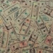 Cash Money on Printed Mesh Fabric 4 Way Stretch/per Yard - Etsy