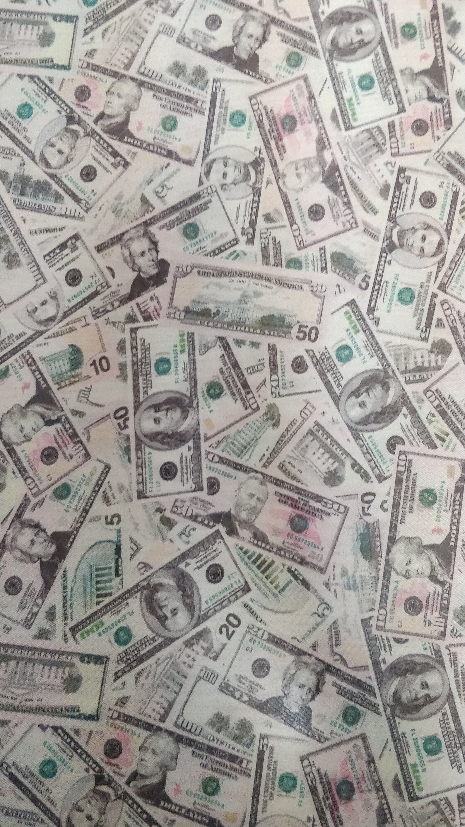 Cash Money on Printed Mesh Fabric 4 Way Stretch/per Yard - Etsy