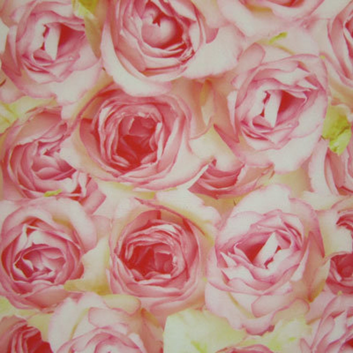 Roses on Printed Mesh Fabric 4 Way Stretch/per Yard - Etsy