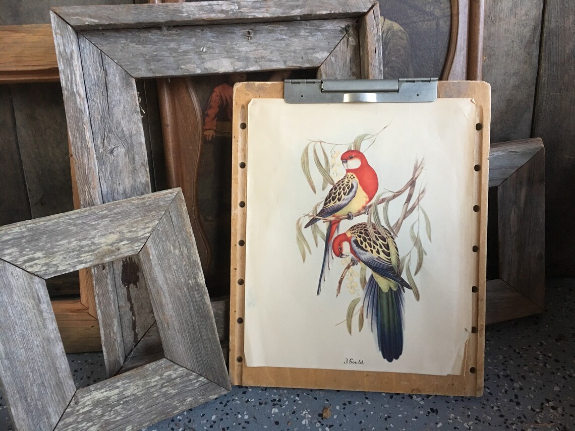 John J Gould Vintage Bird Print/Vintage Braille Slate | Etsy
