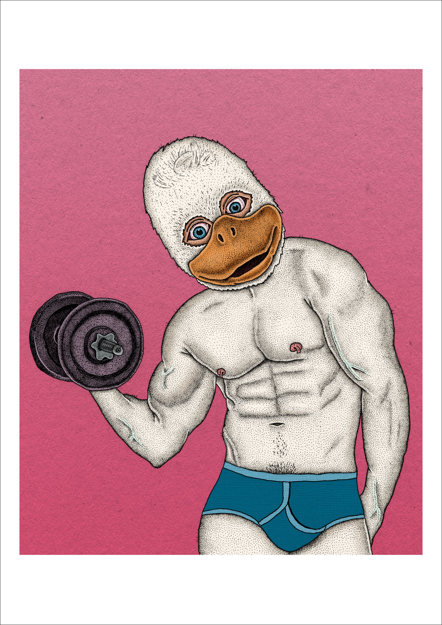 Muscular Duck
