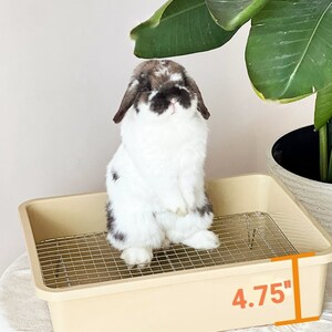 Scatterless Litter Box With Grids Wood Hay Feeder Food Stand 3 in 1 for ...