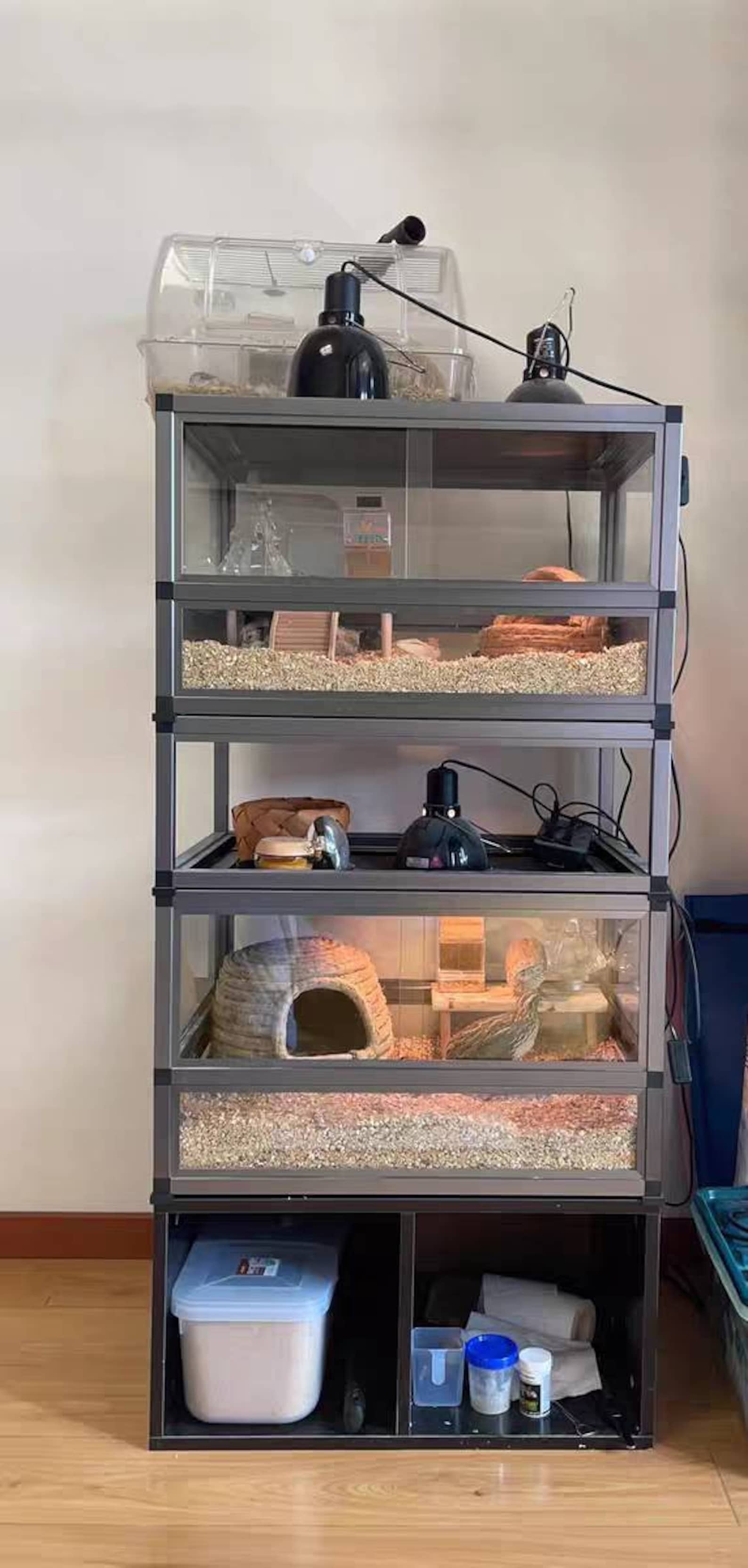 Reptile Glass Tank Terrarium Cage With Refined Aluminum Alloy - Etsy