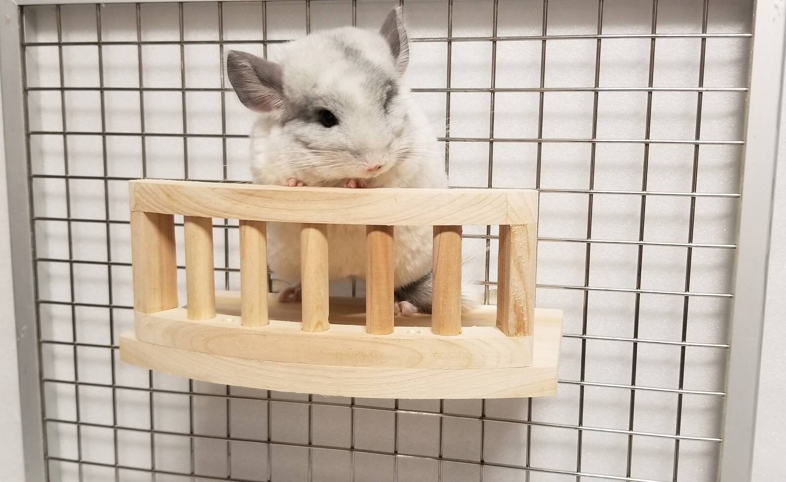 Wood Balcony Step Ledge With Ladder Handrail for Chinchilla | Etsy