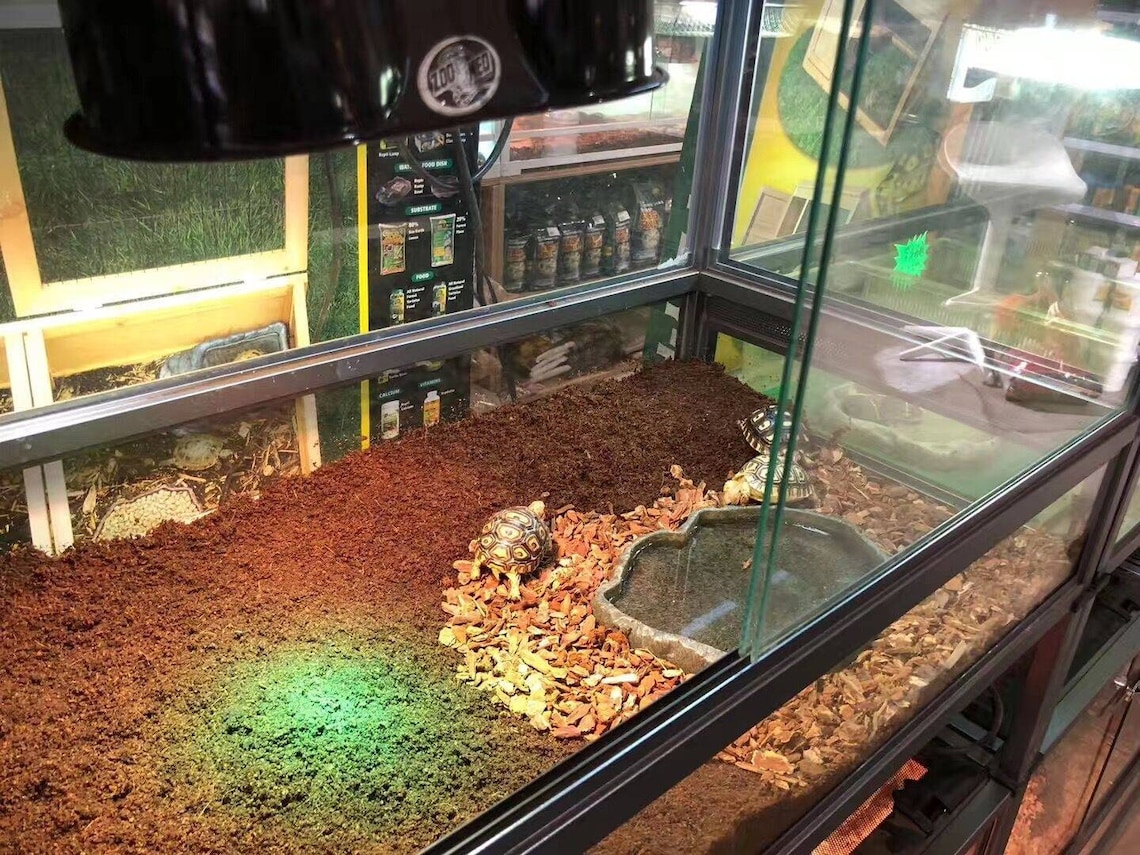 Reptile Glass Tank Terrarium Cage With Refined Aluminum Alloy - Etsy