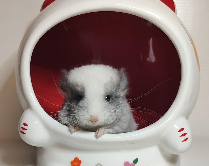 Ceramic Cool Chinchilla Hideout Dust Bath House Hay Feeder - Etsy