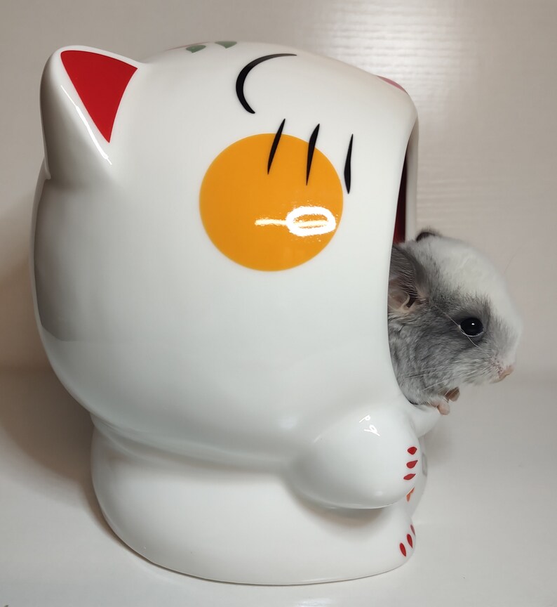 Ceramic Cool Chinchilla Hideout Dust Bath House Hay Feeder - Etsy