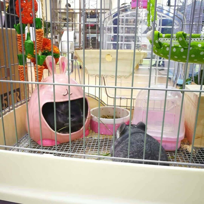 Ceramic Cooling Chinchilla Hideout Dust Bath House Hay Feeder - Etsy
