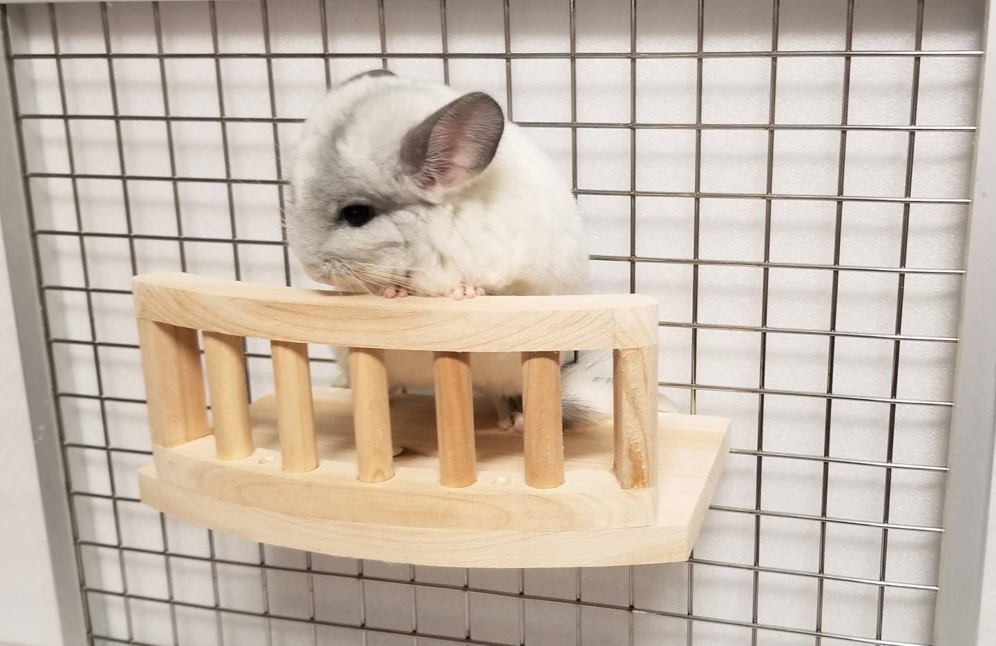 Wood Balcony Step Ledge With Ladder Handrail for Chinchilla | Etsy