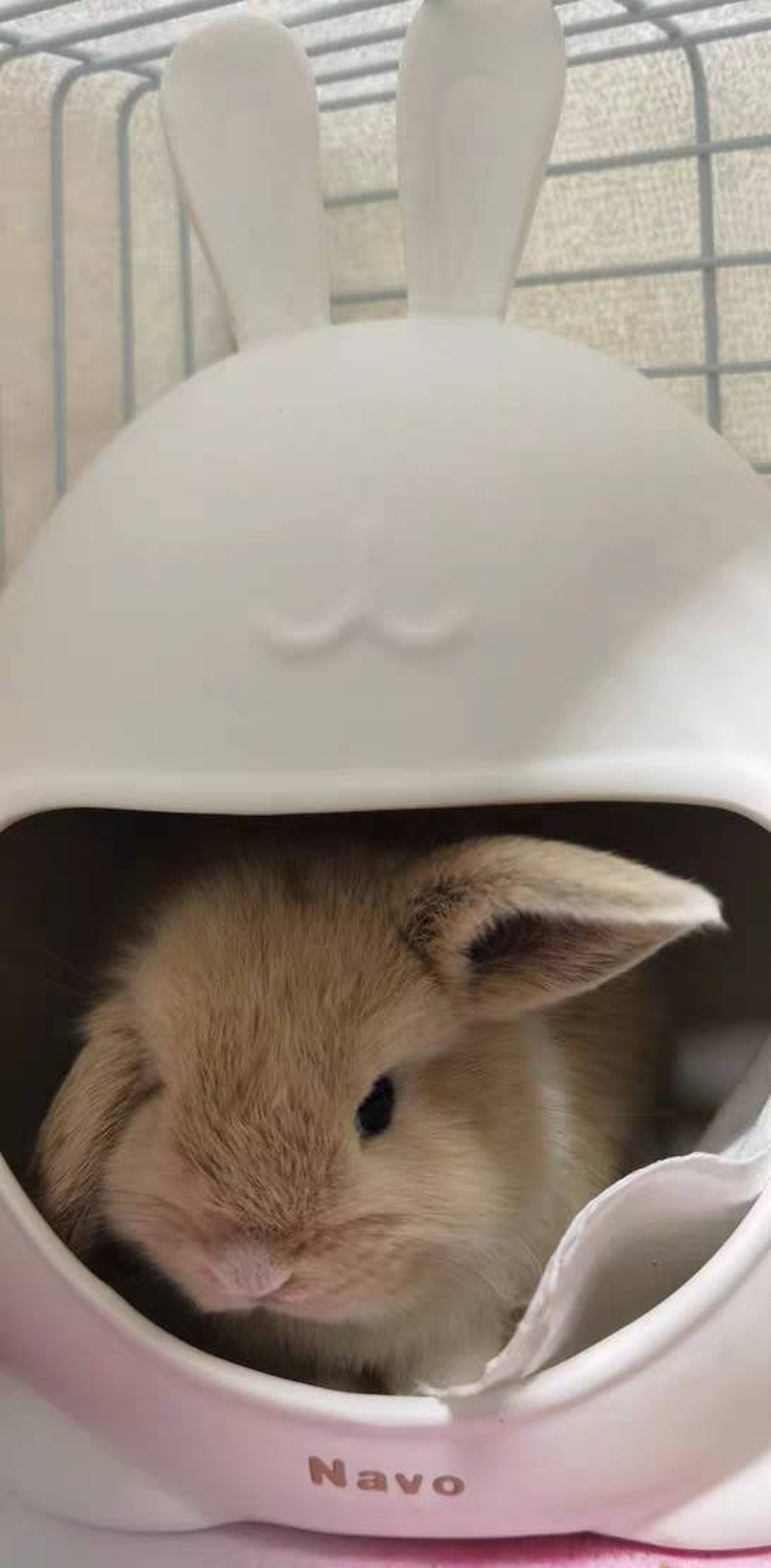 Ceramic Cooling Chinchilla Hideout Dust Bath House Hay Feeder Rabbit - Etsy