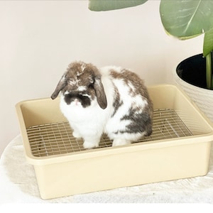 Scatterless Litter Box With Grids Wood Hay Feeder Food Stand 3 in 1 for ...