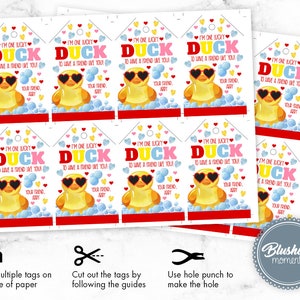 Lucky Duck Valentine's Day Tags, Printable Valentine, Classroom School ...