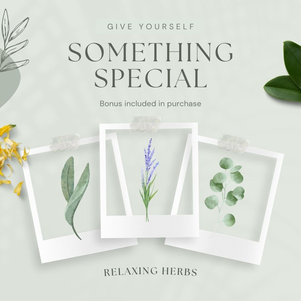 Handmade Clipart, Spa Bundle Clipart, Advertising, Watercolor Clipart, Holistic Clipart, Premade ...