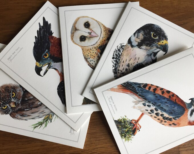 Birds of Prey Greeting Cards peregrine Falcon, Owls, Kestrel, Eagle ...