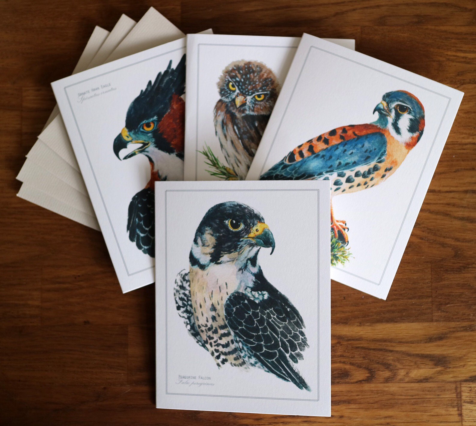 Birds of Prey greeting cards Peregrine Falcon Owl Kestrel | Etsy