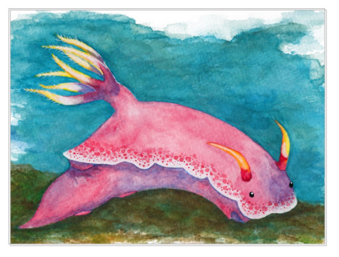 Nudibranch sheep Leaf Sea Bunny Pink Dorid Spanish Dancer - Etsy