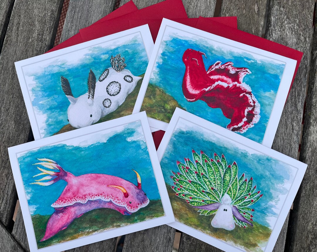 Nudibranch (sheep Leaf, Sea Bunny, Pink Dorid, Spanish Dancer ...