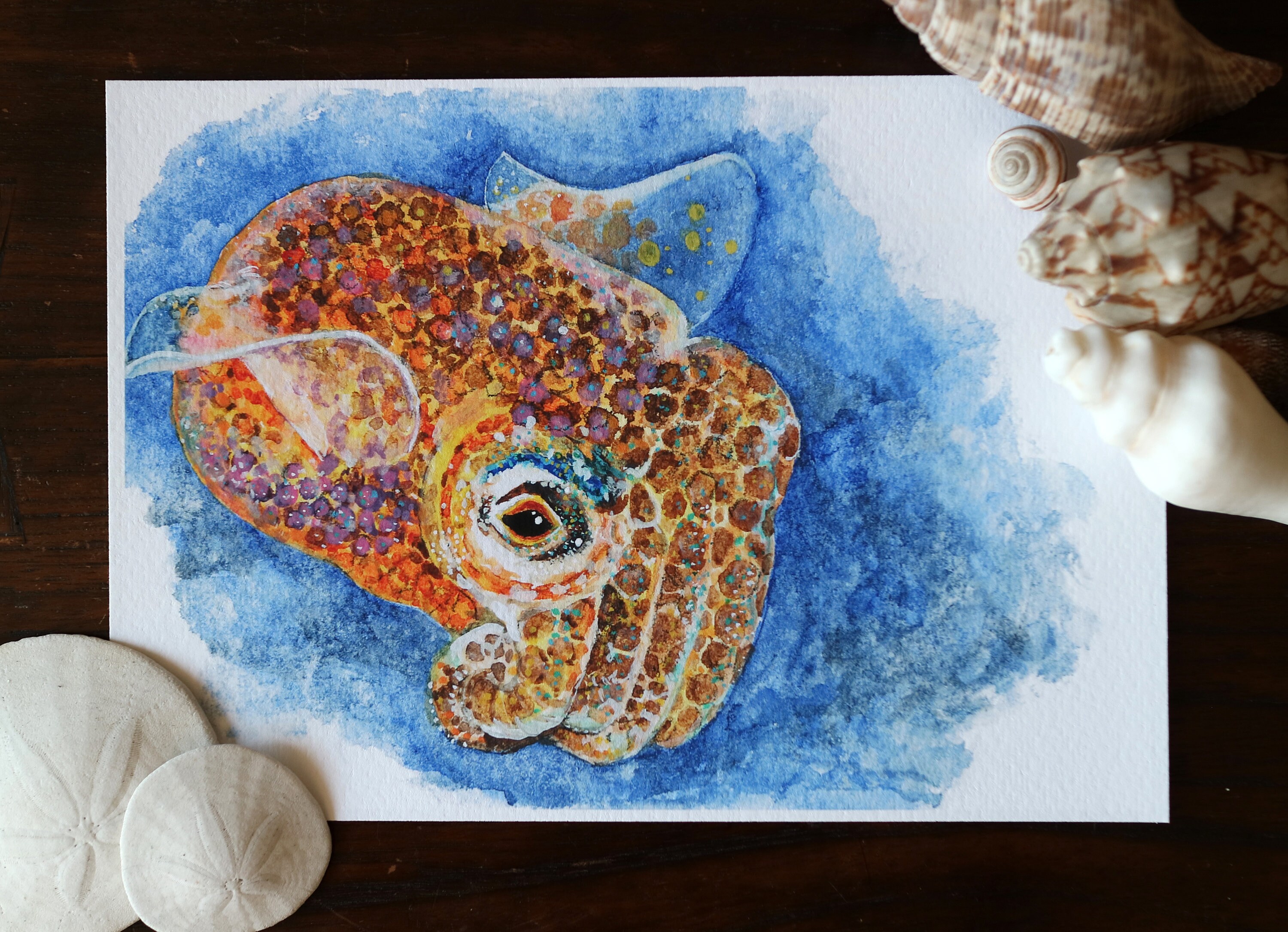 Cuttlefish Giclée Print of Watercolor Painting cephalopod, Cuttlefish ...
