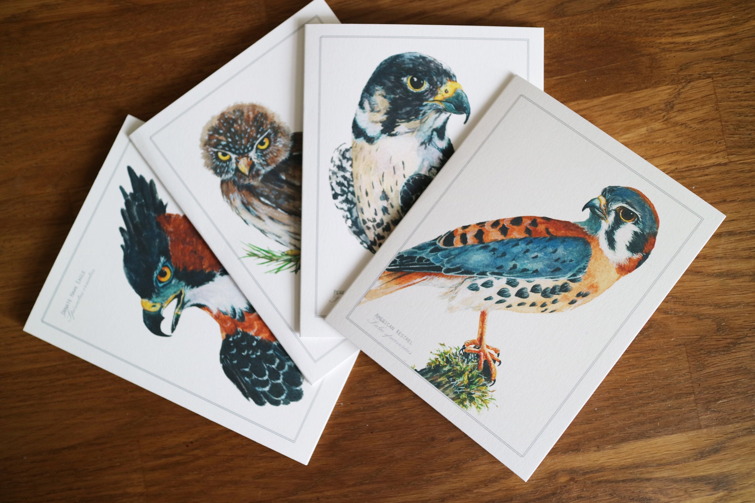Birds of Prey greeting cards Peregrine Falcon Owl Kestrel | Etsy