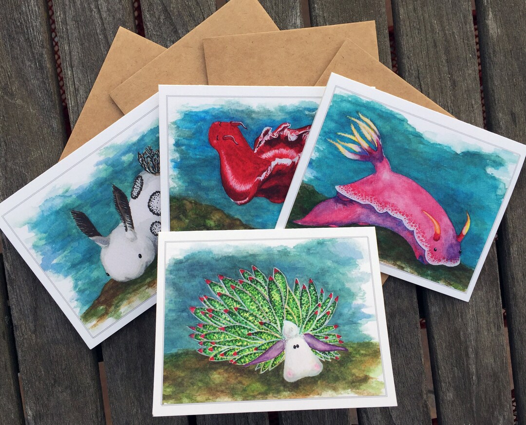 Nudibranch sheep Leaf Sea Bunny Pink Dorid Spanish Dancer - Etsy