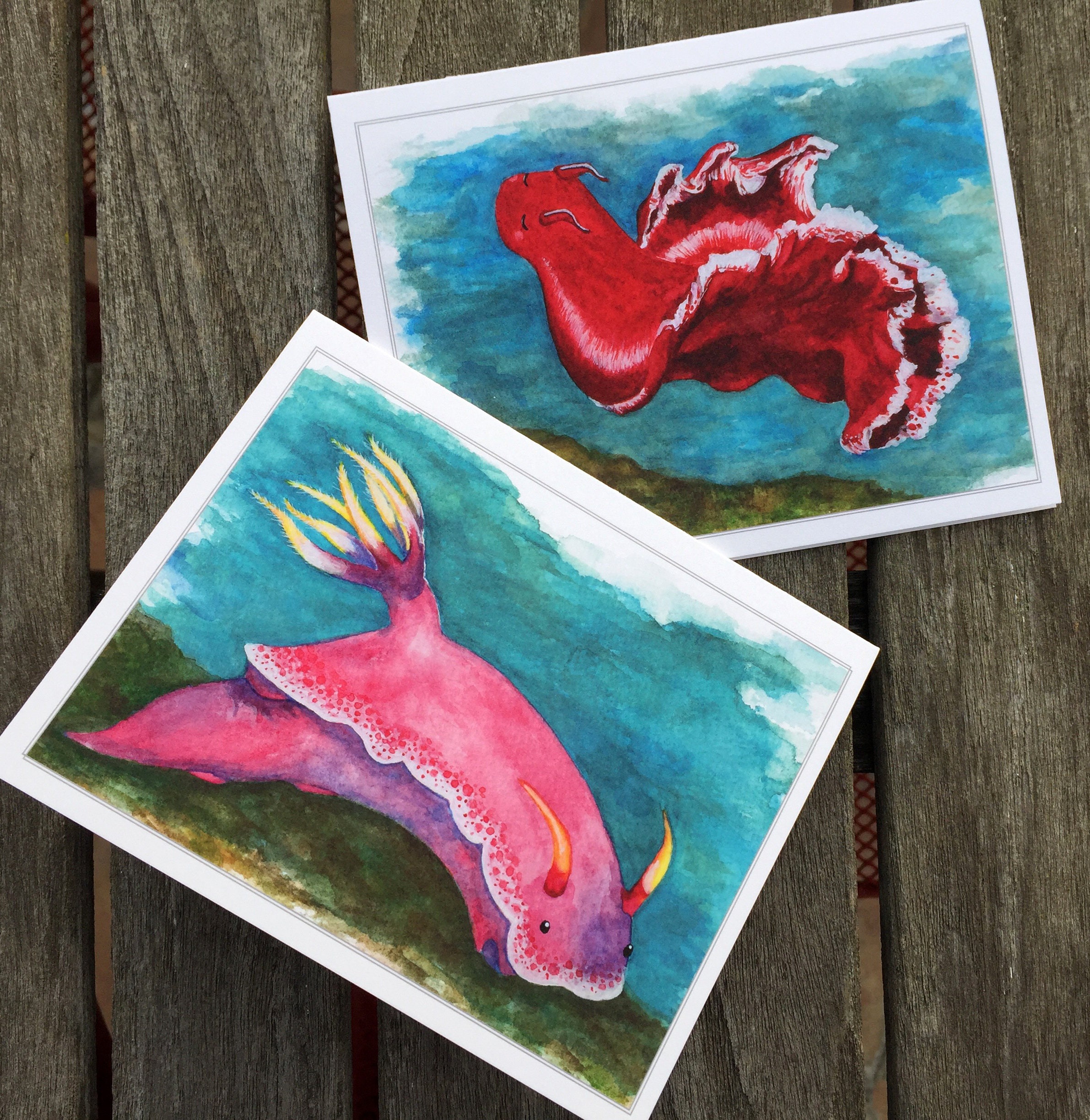 Nudibranch sheep Leaf Sea Bunny Pink Dorid Spanish Dancer | Etsy