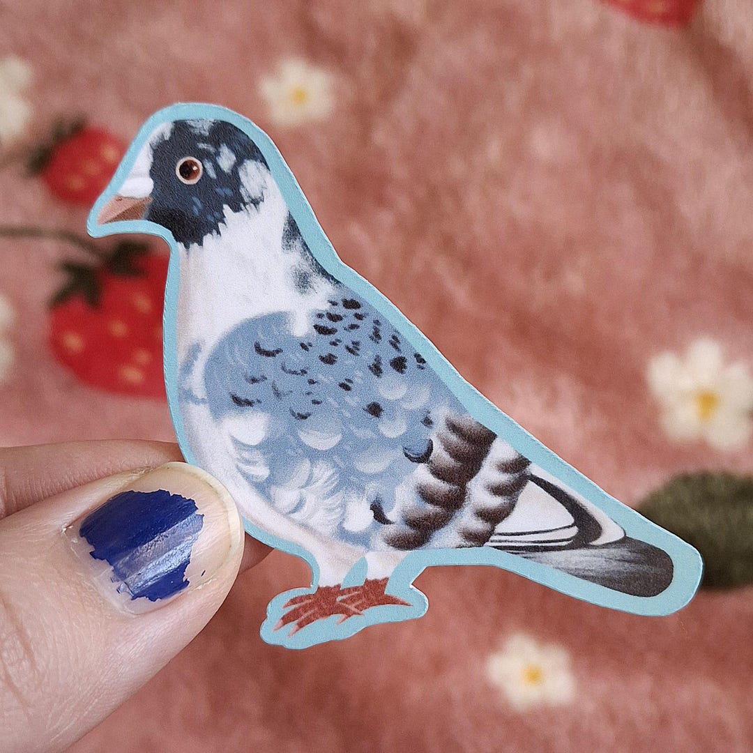 Pied Pigeon - Sticker - Etsy UK