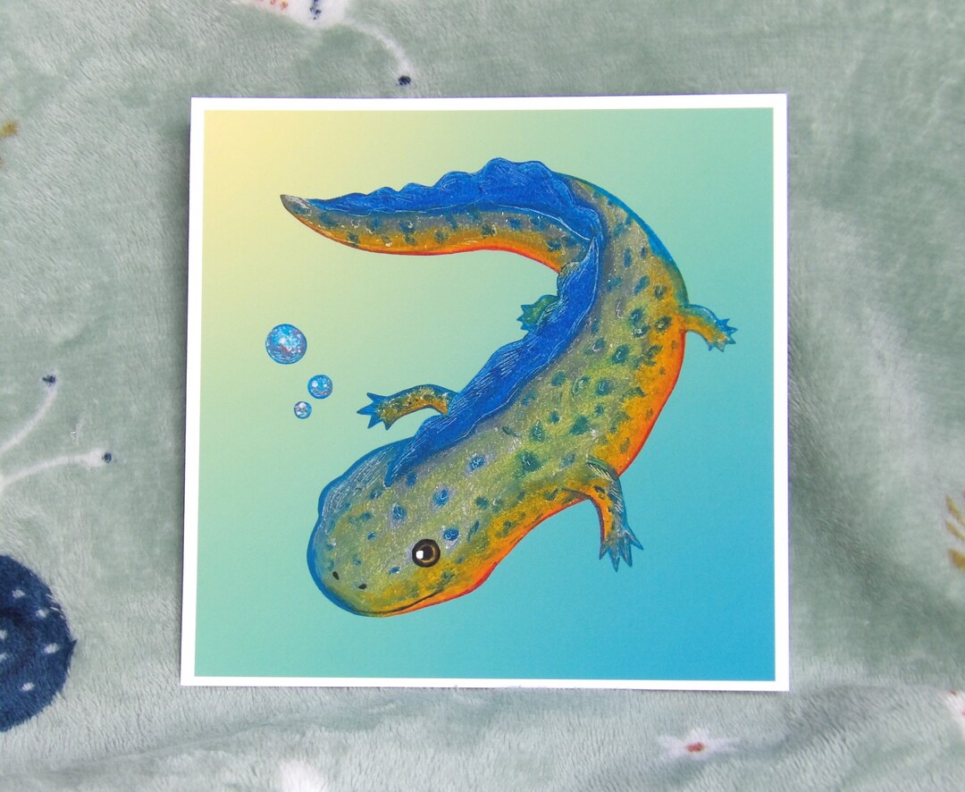 Cute Newt - Square Print - Etsy