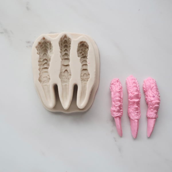 Dinosaur Claw - Etsy