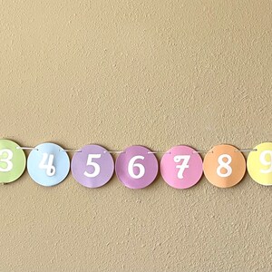 Rainbow Pastel Birthday Banner - Rainbow Garland, Rainbow Milestone ...