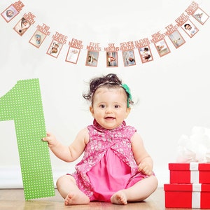 1st Birthday Photo Banner for Baby From Newborn to 12 Months, Monthly ...