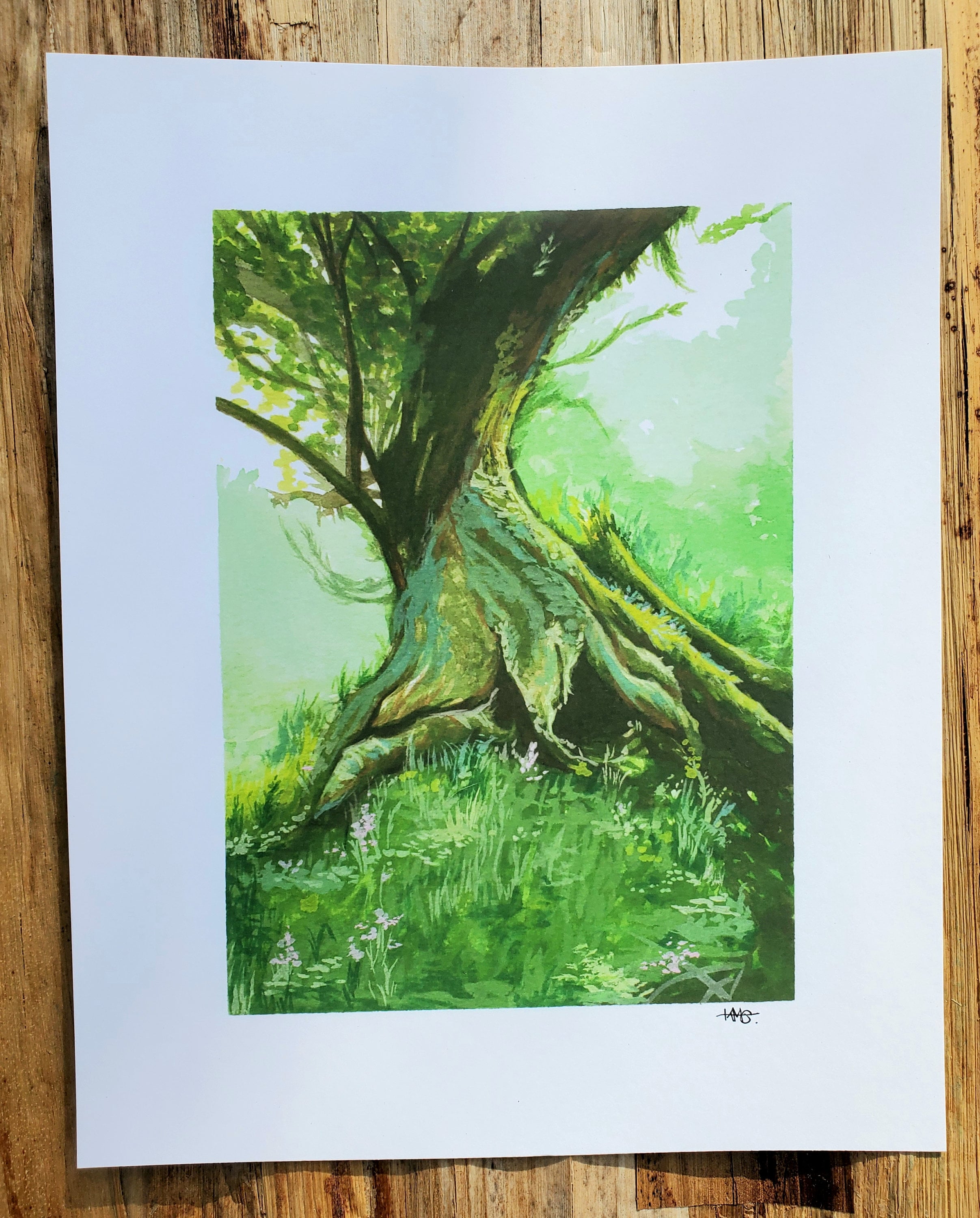 Elder Tree Gouache Tree Fine Art print | Etsy