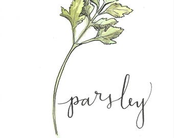 Parsley Print Watercolor Parsley Print, Home Decor Print, Herb Print ...