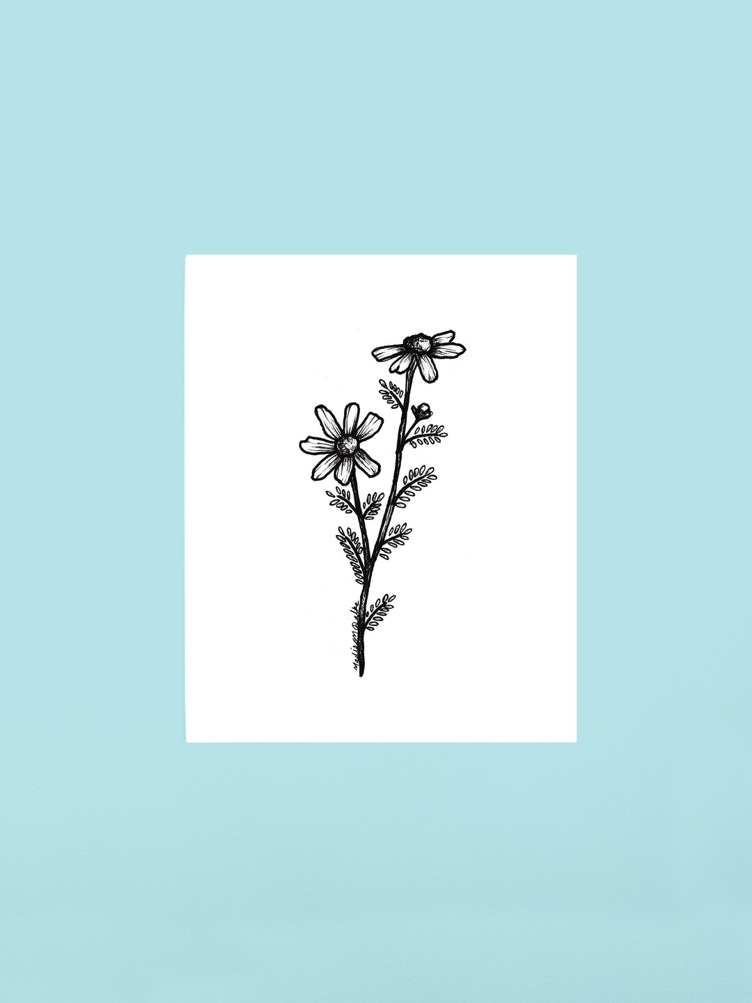 Chamomile Print - Botanical Drawing - Flower Art - Black and White ...