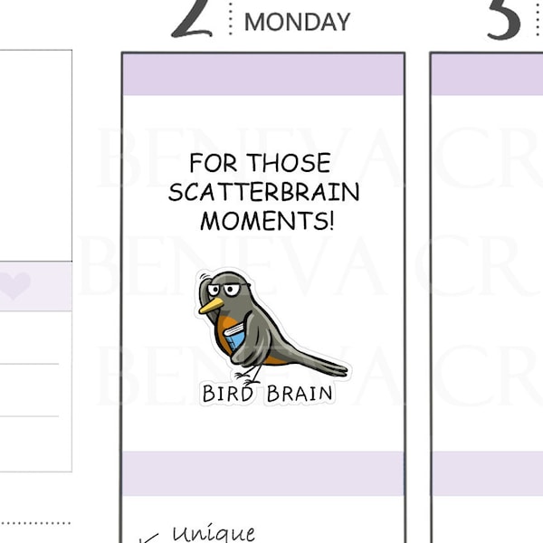 Scatterbrain - Etsy
