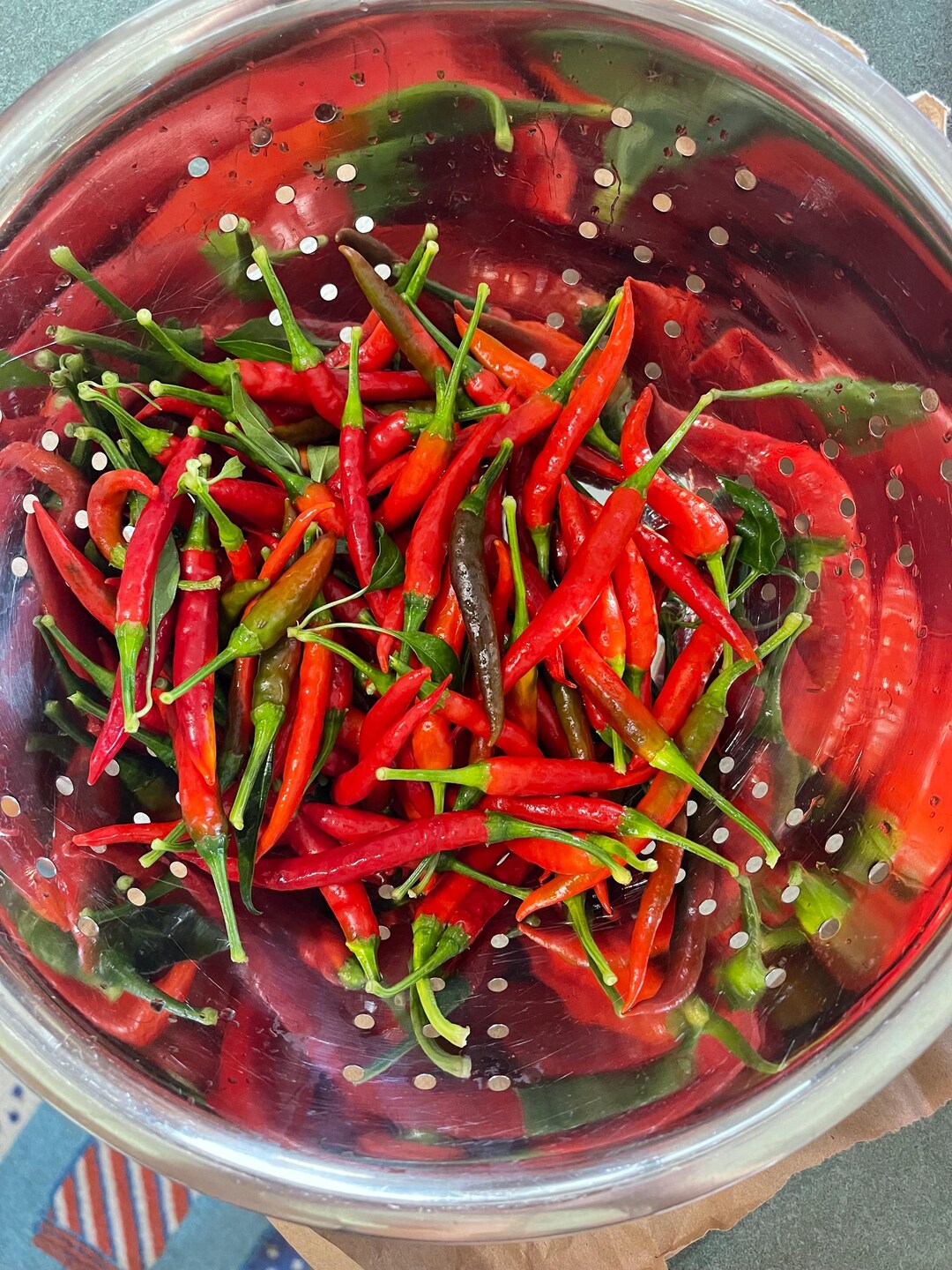 Pequin Pepper Seeds - Etsy