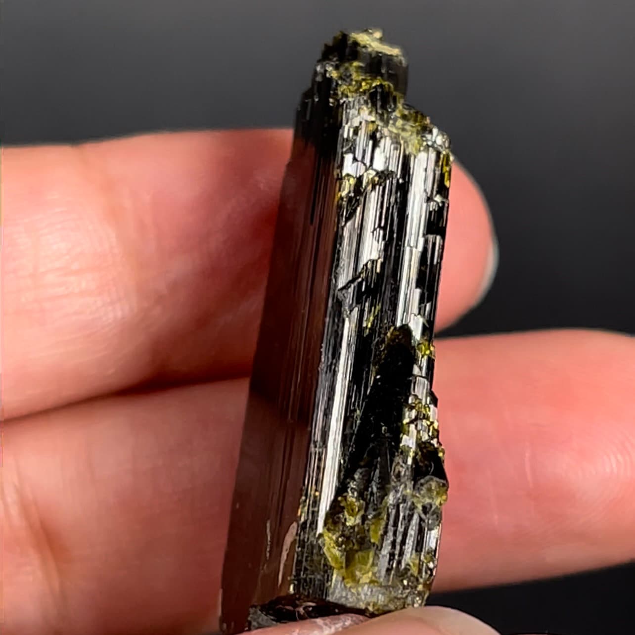 ALPINE Austrian Epidote • Knappenwand, Salzburg, Austria • Ex Robertson ...